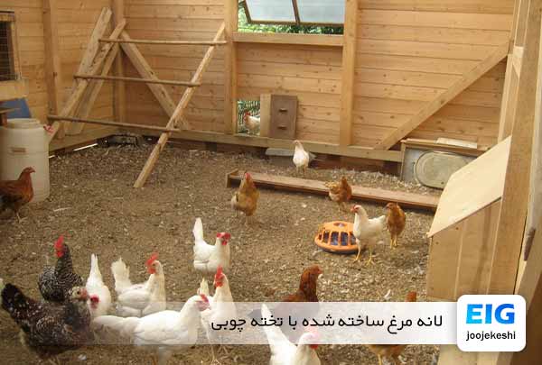 ساخت آشیانه برای مرغ بومی | آموزش ساخت لانه برای مرغ بومی و روستایی