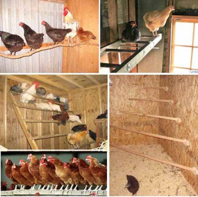 ساخت آشیانه برای مرغ بومی | آموزش ساخت لانه برای مرغ بومی و روستایی